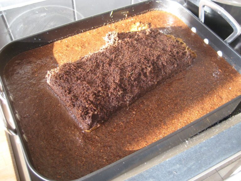 The Best Substrates for Ball Pythons (And Ones to Avoid)